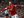 Wayne Rooney likely to visit India in November